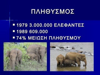 ελεφαντας | PPT