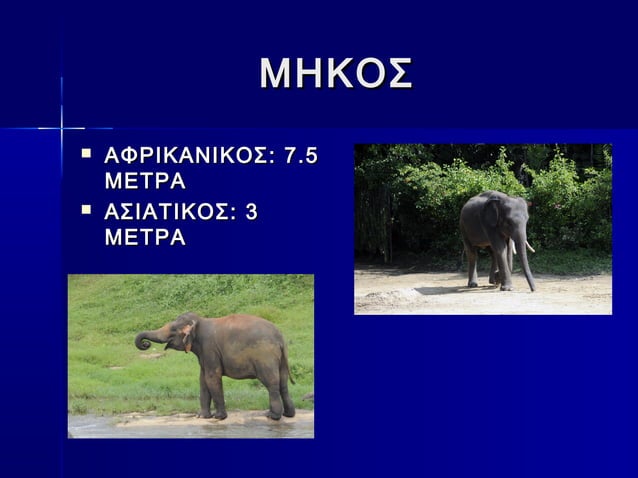 ελεφαντας | PPT
