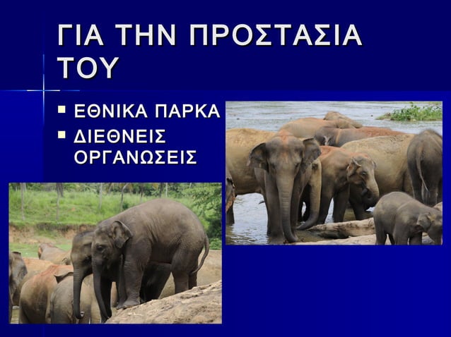ελεφαντας | PPT