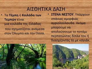 Προστατευόμενες περιοχές | PPT