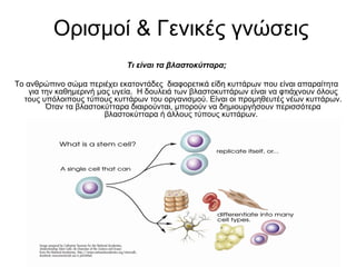 Bλαστοκύτταρα | PPT
