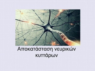 Bλαστοκύτταρα | PPT