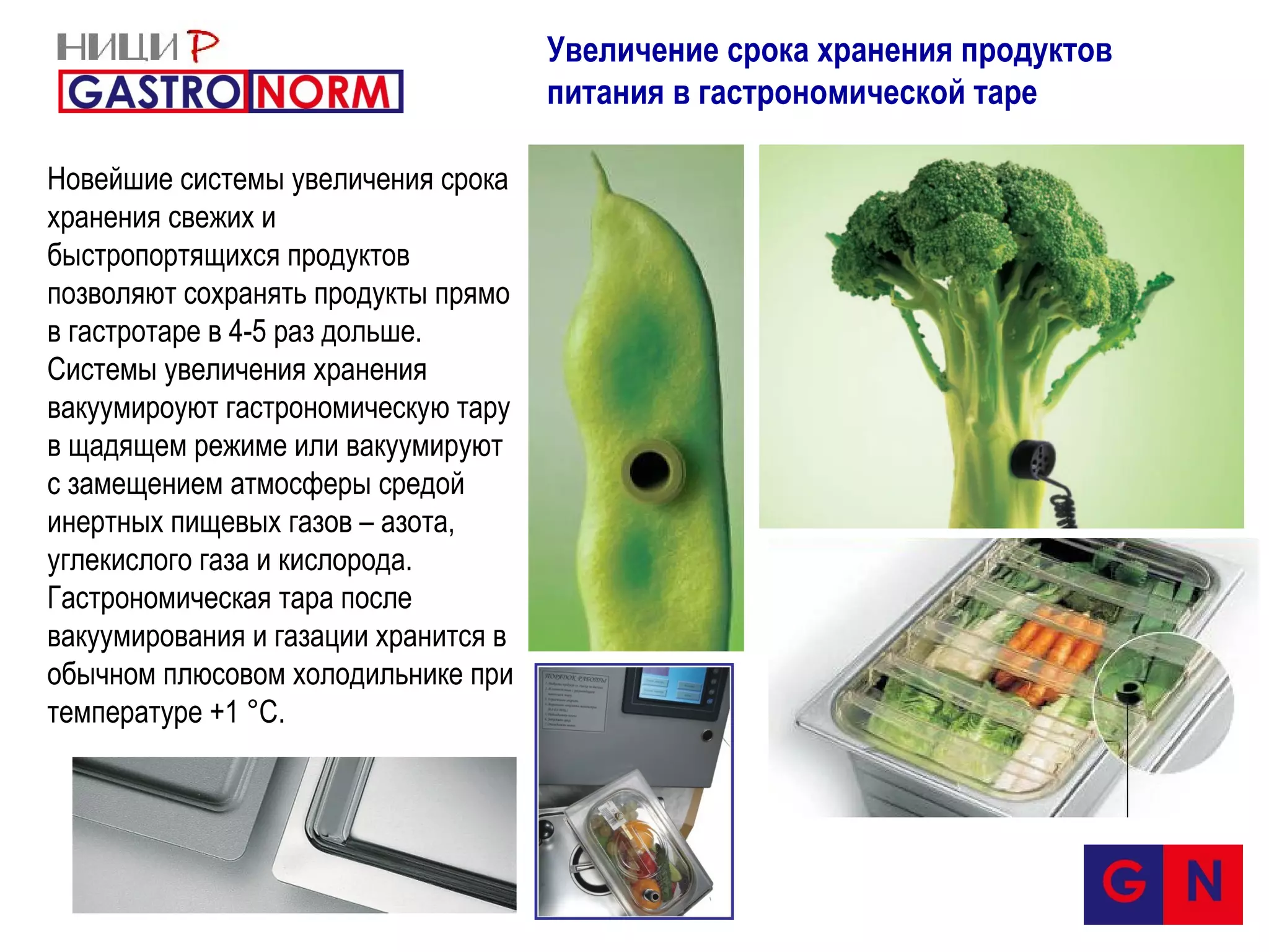 презентация гастронорм | PPT