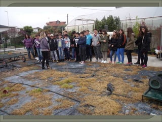 επισκεψη στα φυτωρια ρηγοπουλου | PPT