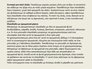 Η ελιά και το ελαιόλαδο στη διατροφή των Ελλήνων από την αρχαιότητα έως ...