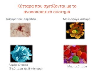 Ολοκληρωμένη φροντίδα του περιβαλλοντικά ευαισθητοποιημένου δέρματος ...