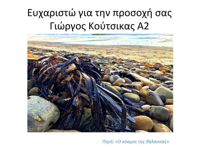 πετρελαιοκηλίδα ρύπανση από πετρελαιοειδή | PPT