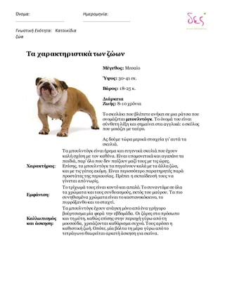κατοικίδια ζώα εργασία!!!! | DOCX