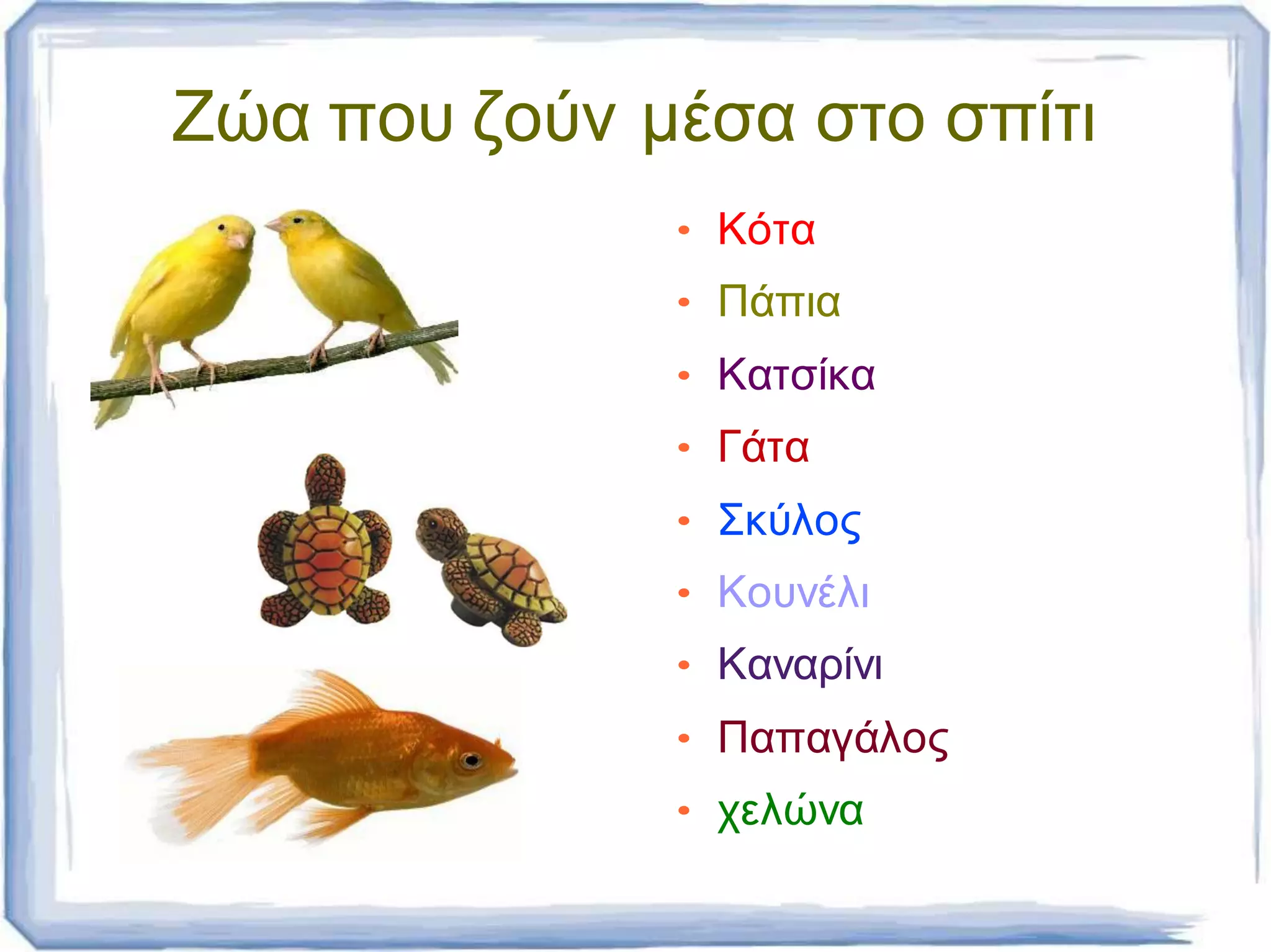 κατοικίδια ζώα-!!!!! | DOCX