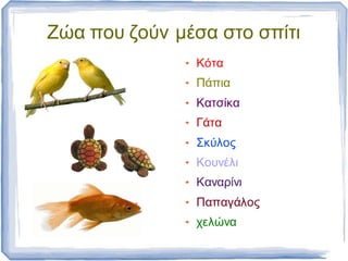 κατοικίδια ζώα-!!!!! | DOCX