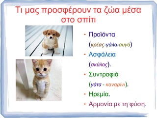 κατοικίδια ζώα-!!!!! | DOCX