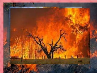 πυρκαγιες,πλυμμυρες,κατολισθησεις,ηφαιστεια, σεισμοι | PPTX