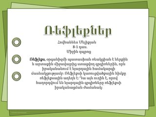 Ռեֆլեքս | PPT