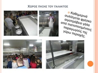 τυροκομείο βασιλείο | PPTX