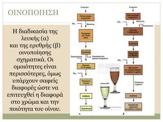Η οινολογία και η χημεία του κρασιού | PPT