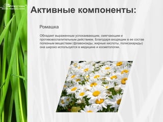 Шампунь с алтайским мумиё ПРОТИВ ПЕРХОТИ серии "Крепкое сибирское" | PPT