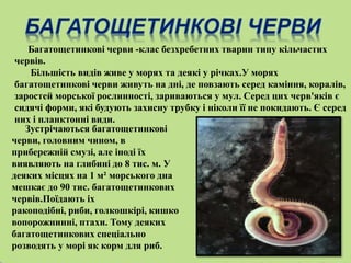 Фауна Солодкого Лиману | PPT