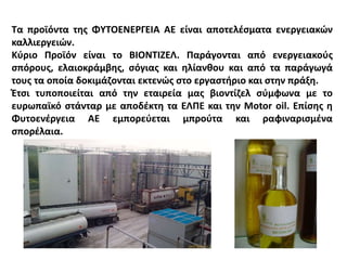 Tο χωριό μου, το Παραλίμνιο. | PPTX