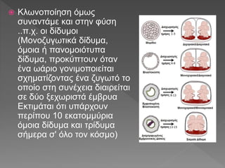 Κλωνοποίηση του ανθρώπου | PPT