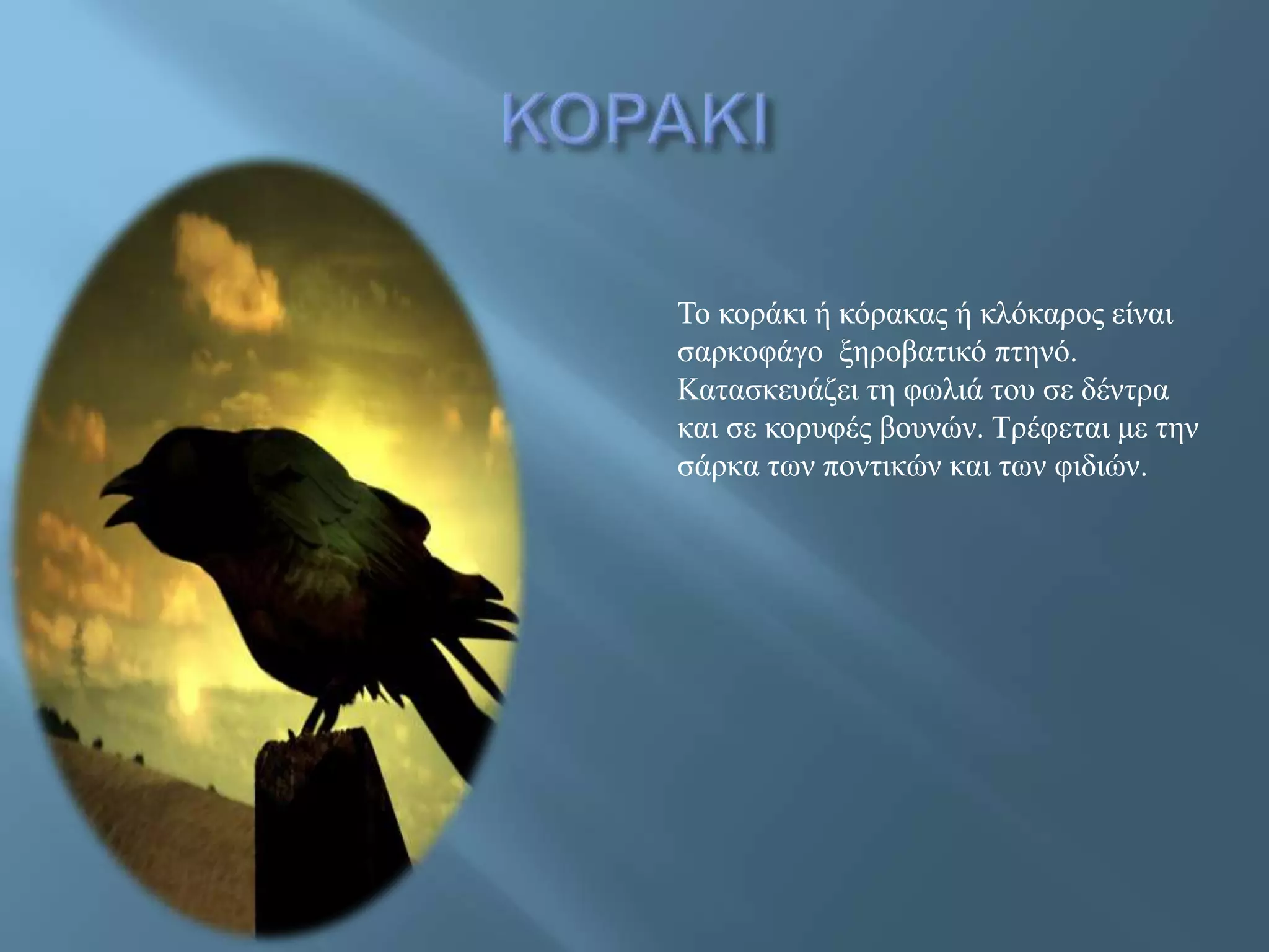 η ζωη απο ψηλα | PPTX