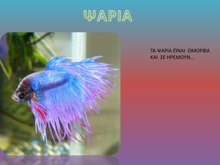 κατοικιδια ζωα | PPTX