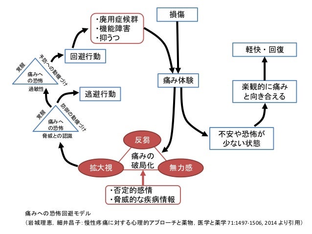 痛みへの恐怖回避モデル（The fear-avoidance model of chronic pain）