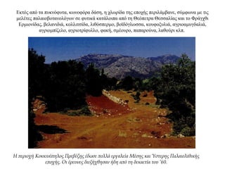Εποχή του Λίθου - Παλαιολιθική (β.οικονομία) | PPT