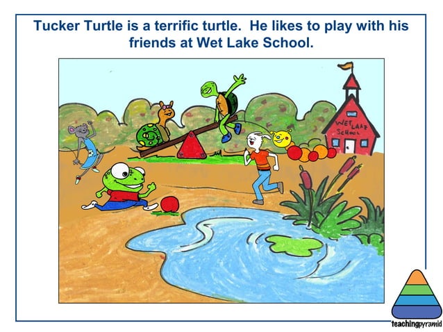 Tucker Turtle | PPT | Reptiles | Pets