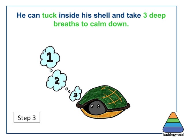 Tucker Turtle | PPT | Reptiles | Pets