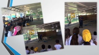 παρκο κυκλοφοριακης αγωγης - τμήμα σκύλων αστυνομίας Κύπρου | PPTX