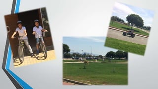 παρκο κυκλοφοριακης αγωγης - τμήμα σκύλων αστυνομίας Κύπρου | PPTX