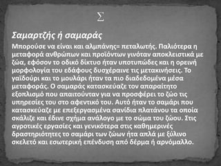 Επαγγέλματα | PPT