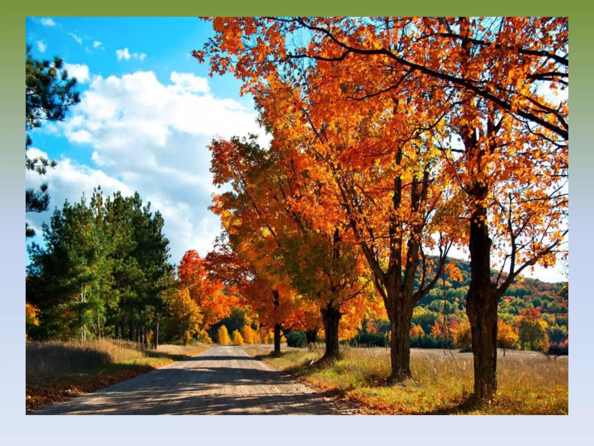 ο οικολογικος και εναλλακτικος τουρισμος στην περιοχη των Γιαννιτσων ...