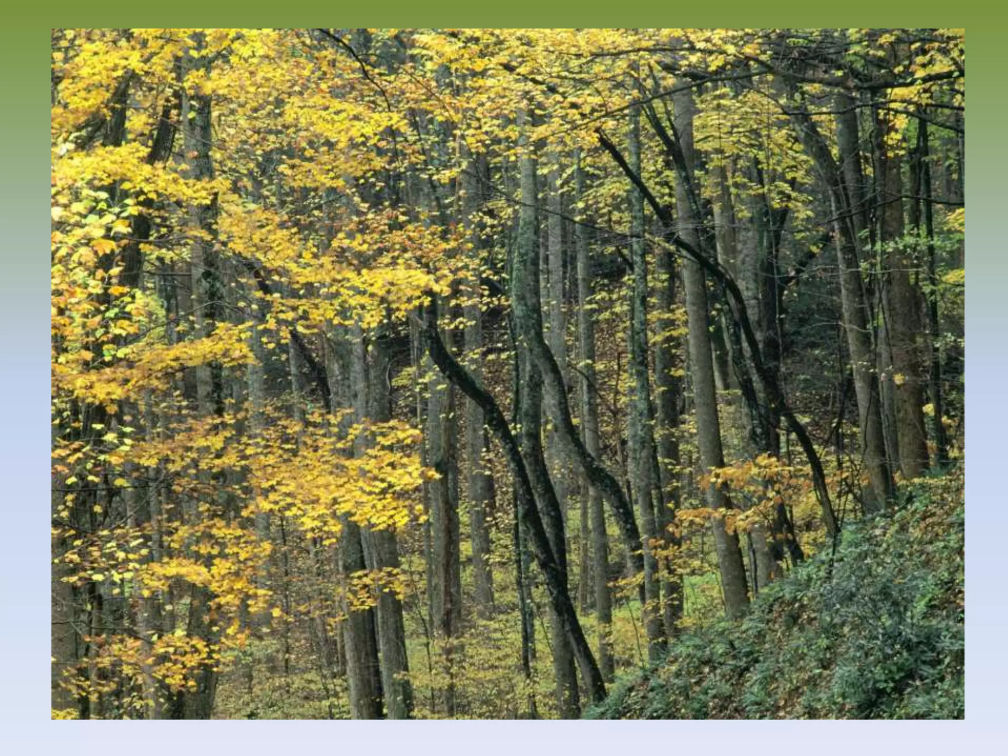 ο οικολογικος και εναλλακτικος τουρισμος στην περιοχη των Γιαννιτσων ...