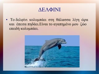 Τα ζώα του κόσμου | ODP
