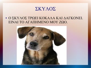 Τα ζώα του κόσμου | ODP