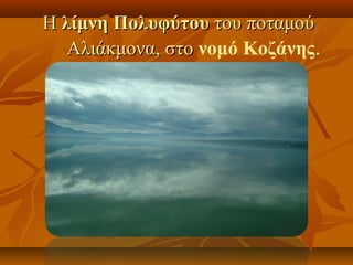 Φυσικές και τεχνητές λίμνες | PPT
