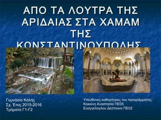 Από τα λουτρά της Αριδαίας στα χαμάμ της Πόλης | PPT
