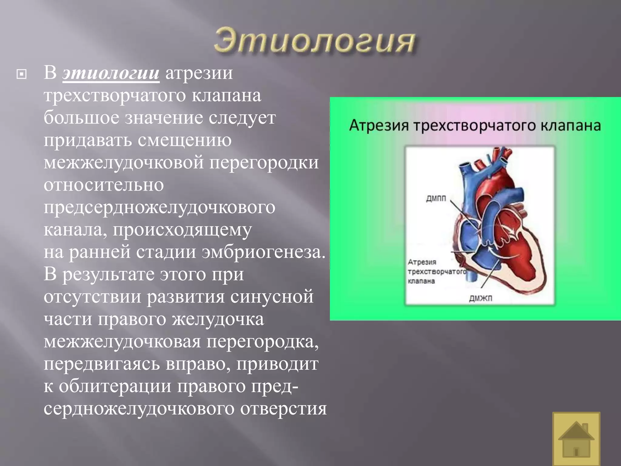 атрезия трехстворчатого клапана мазур | PPTX