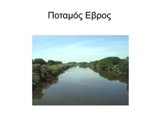 γκρεσιντα ραφαηλ θρακη | PPT