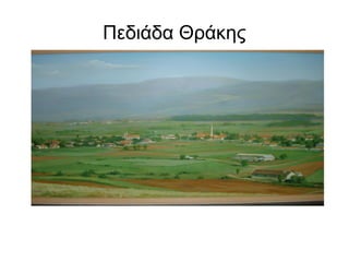 γκρεσιντα ραφαηλ θρακη | PPT