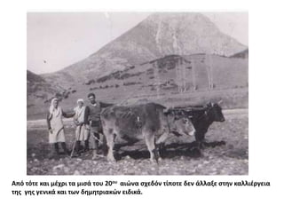 Ο ΑΡΤΟΣ ΗΜΩΝ Ο ΕΠΙΟΥΣΙΟΣ | PPT