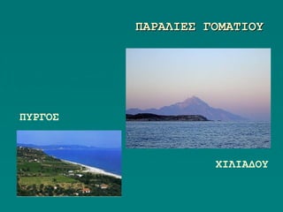 ΜΕΝΟΥΜΕ ΟΡΕΙΝΗ ΧΑΛΚΙΔΙΚΗ | PPT
