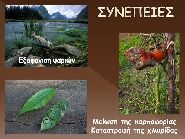 ΟΞΙΝΗ ΒΡΟΧΗ | PPTX