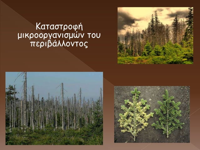 ΟΞΙΝΗ ΒΡΟΧΗ | PPT