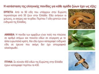 ΠΑΝΙΔΑ | PPT