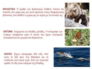 ΠΑΝΙΔΑ | PPT