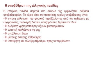 ΠΑΝΙΔΑ | PPT
