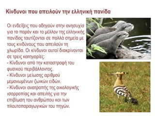 ΠΑΝΙΔΑ | PPT