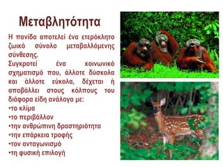 ΠΑΝΙΔΑ | PPT